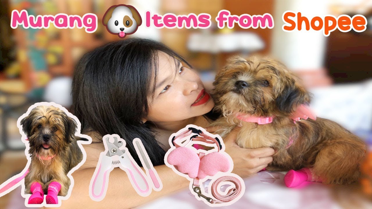 SHOPEE HAUL (DOG EDITION) | MURANG ITEMS FOR DOG | SHIH TZU STUFF | DOG ...