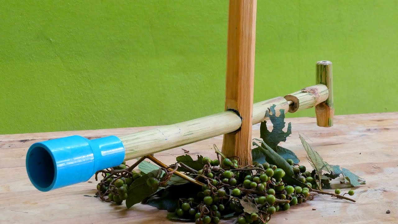 DIY Bamboo Gun Use Fruit Bullets - How to make bamboo gun for fun - YouTube