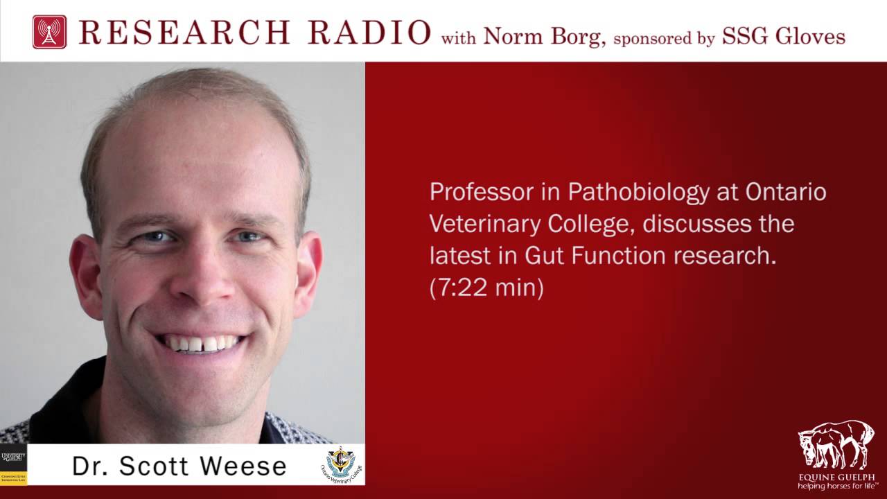 Episode 15 | Dr. Scott Weese - Gut Function - YouTube