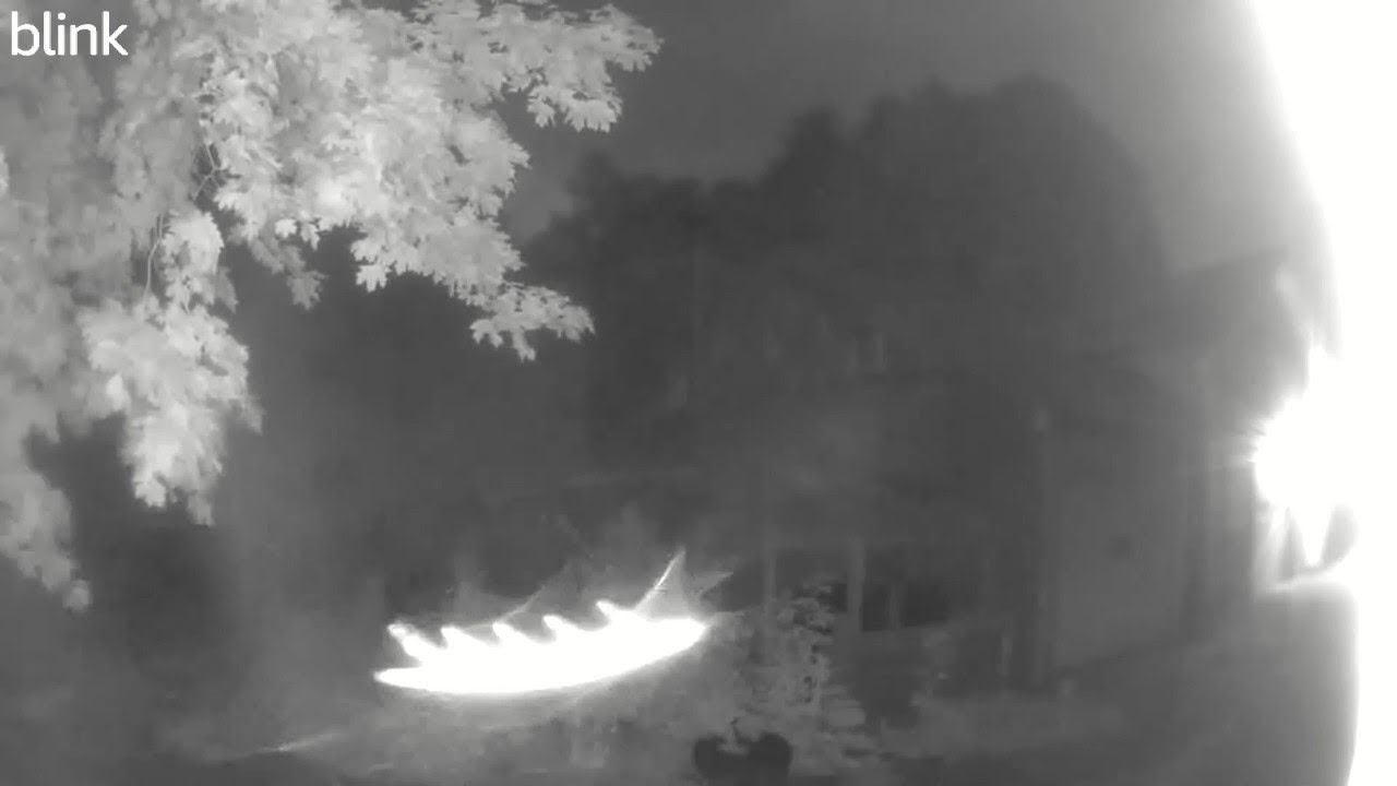 rod body with good detail 1/8 speed raw footage of skyfish or rods in ...