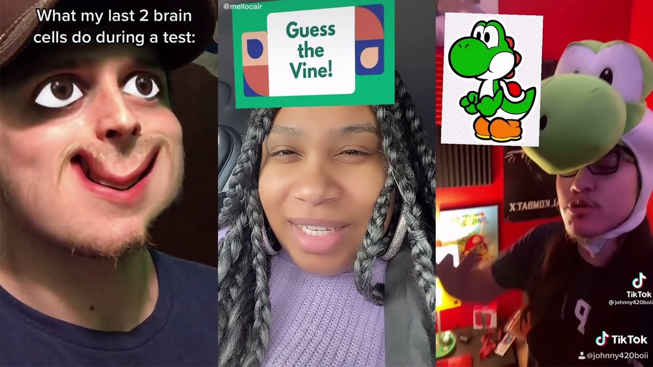 TIK TOK MEMES That Are Basically Vine 2 - YouTube