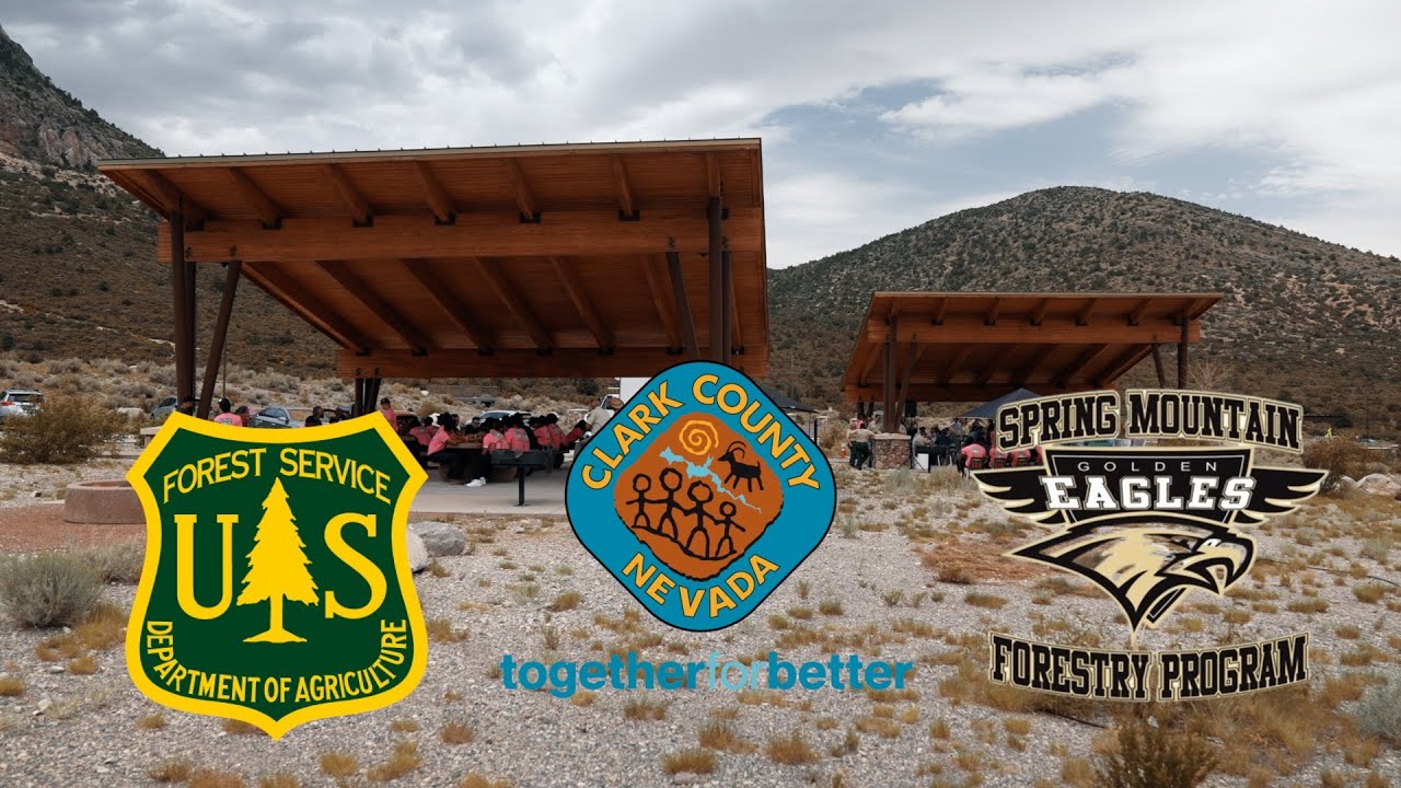 Spring Mountain Youth Camp Forestry Program - YouTube