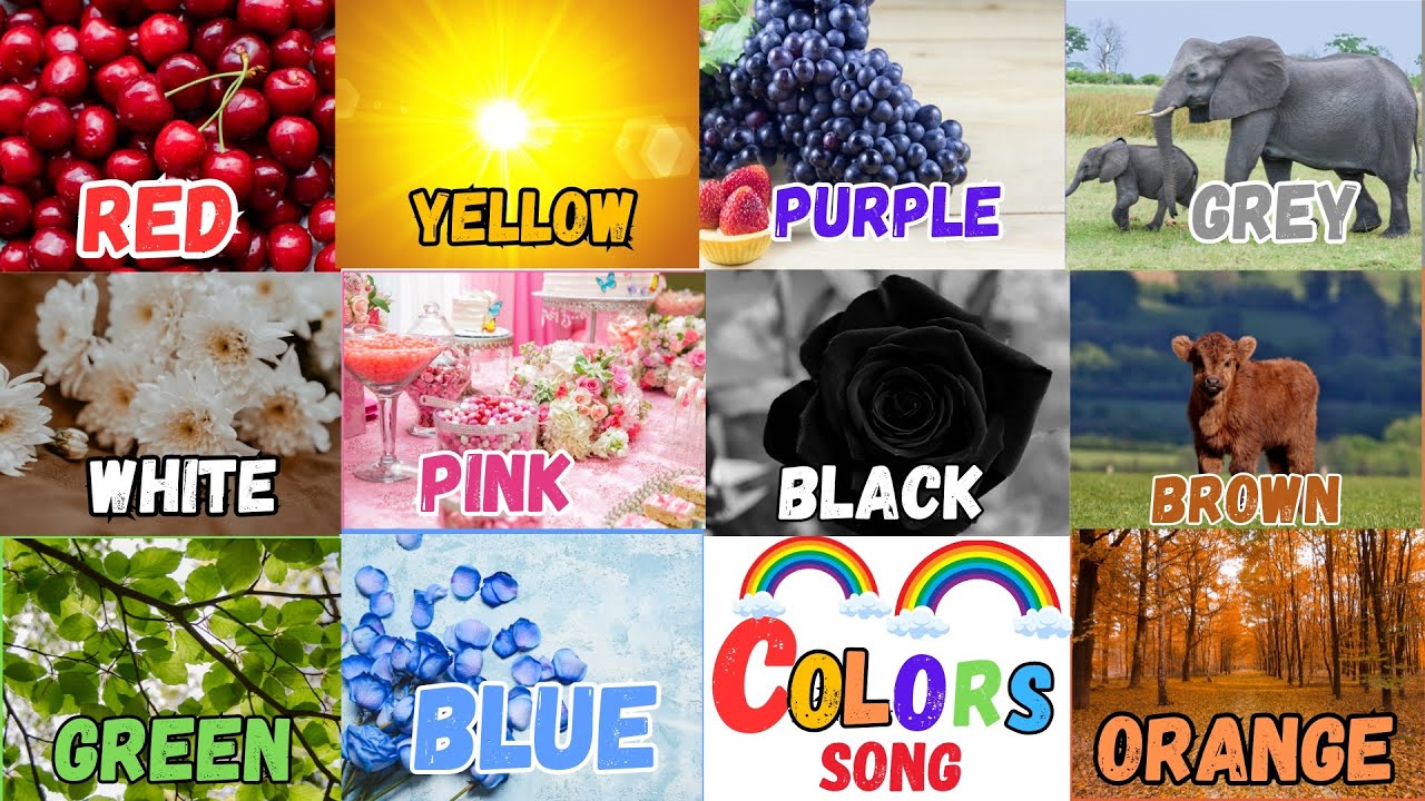 The Colors Song | Learn the Colors / Colours | Nursery Rhymes For Kids ...