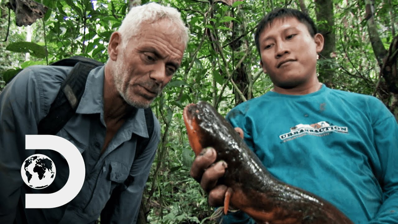 River Monsters Salamander