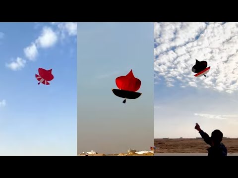 patang flying patang game patang lovers patang bazi 😱 - YouTube