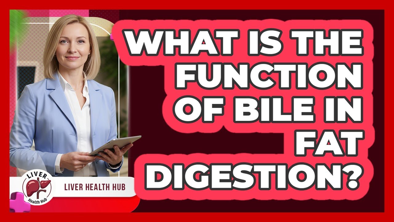 What is the function of bile in fat digestion? - YouTube