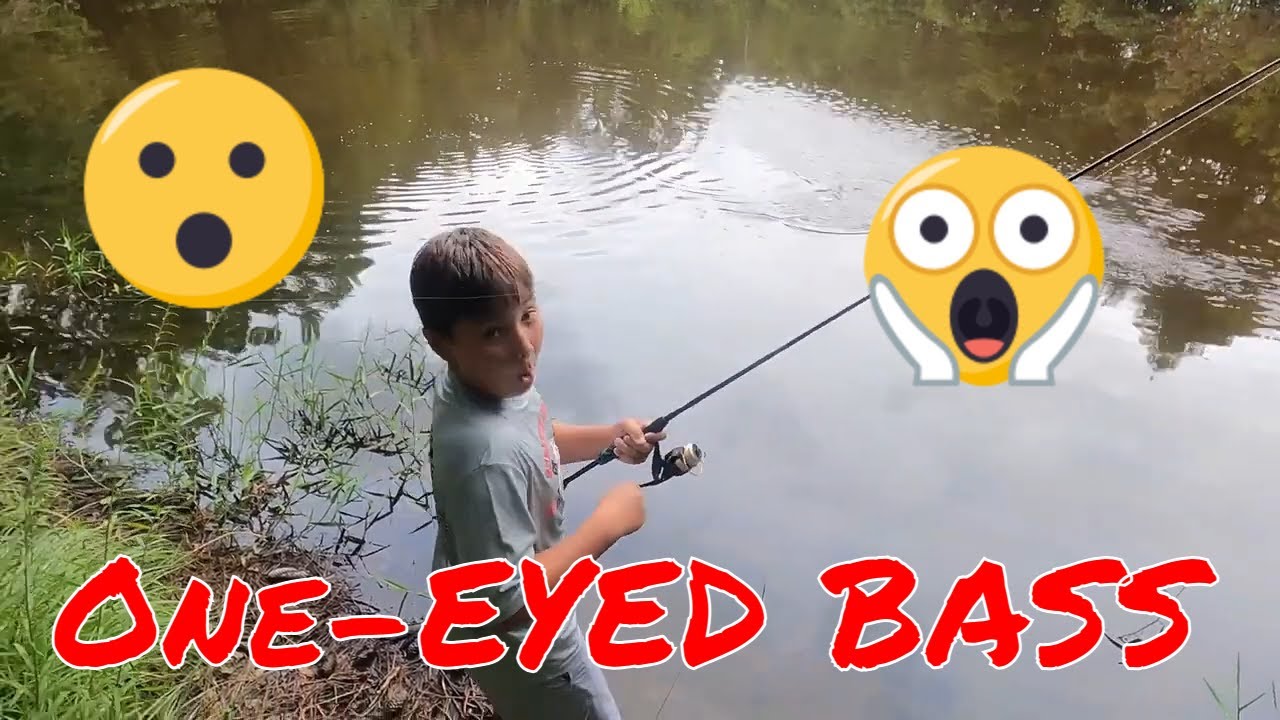 Catching GIANT 1-Eyed Bass While Fishing–Unbelievable Catch! 😱"#Fishing ...