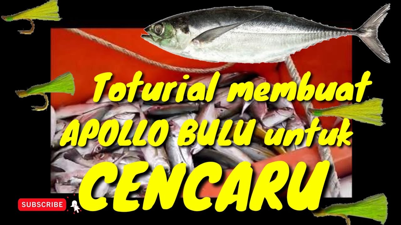 Cara membuat rangkaian perambut apollo untuk cencaru - YouTube