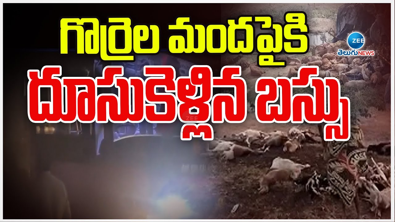 150 Goats Kill*ed in Road Accident | Dachepalli | గొర్రెల మందపైకి ...