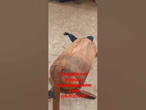 купил игрушку от блоптоп - YouTube