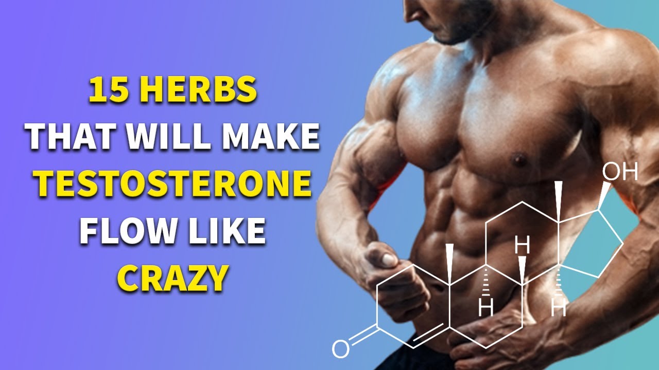 15 Herbs That Will Make Testosterone Flow like Crazy - YouTube