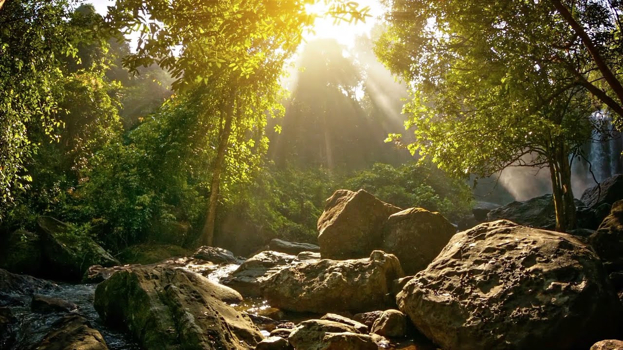 Beautiful Relaxing Music | 4K Video | Amazing nature scenery | Stress ...
