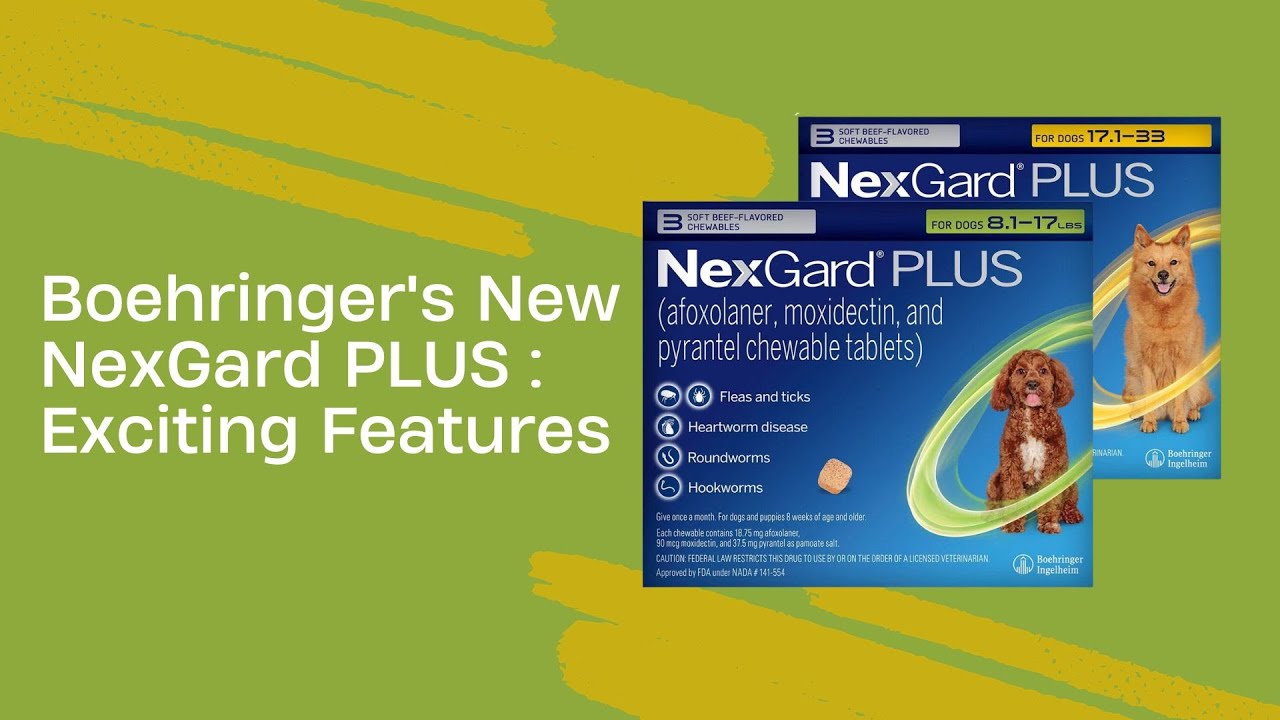Boehringer's New NexGard PLUS : Exciting Features - YouTube
