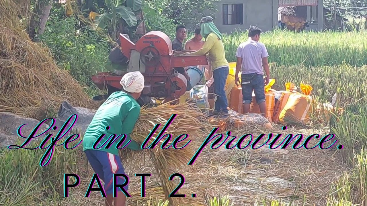Life in the province. Part 2. - YouTube
