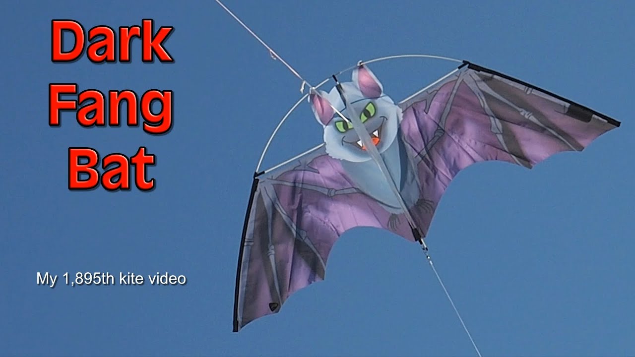 Dark Fang Bat - great kite for Halloween! - YouTube