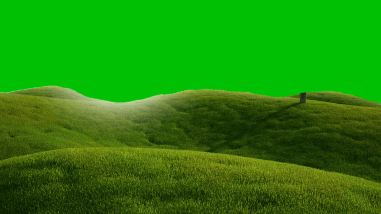 #No Copyright #Green #Screen #Effect #VFX #Green #Land #Garden #Video ...
