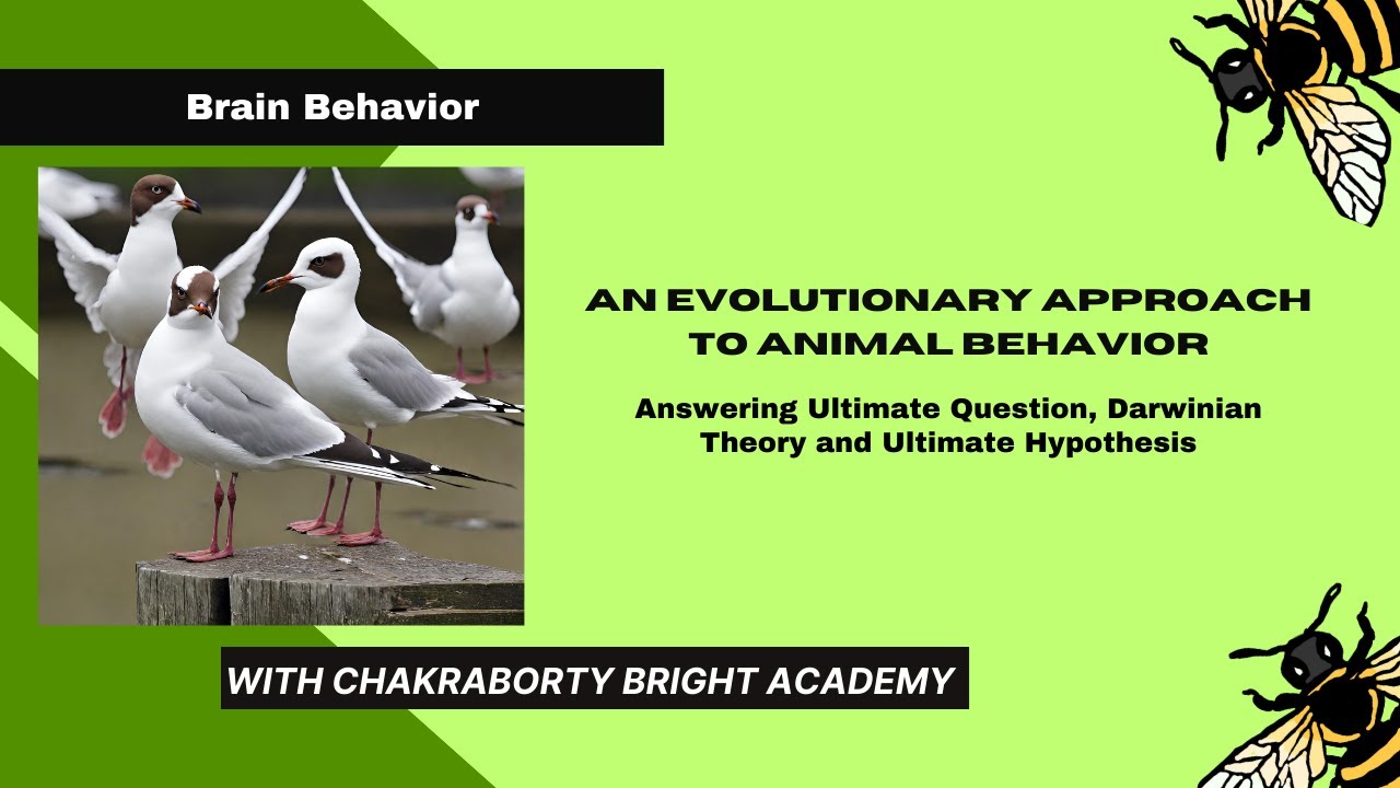 An Evolutionary Approach to Animal Behavior II Ultimate Questions - YouTube