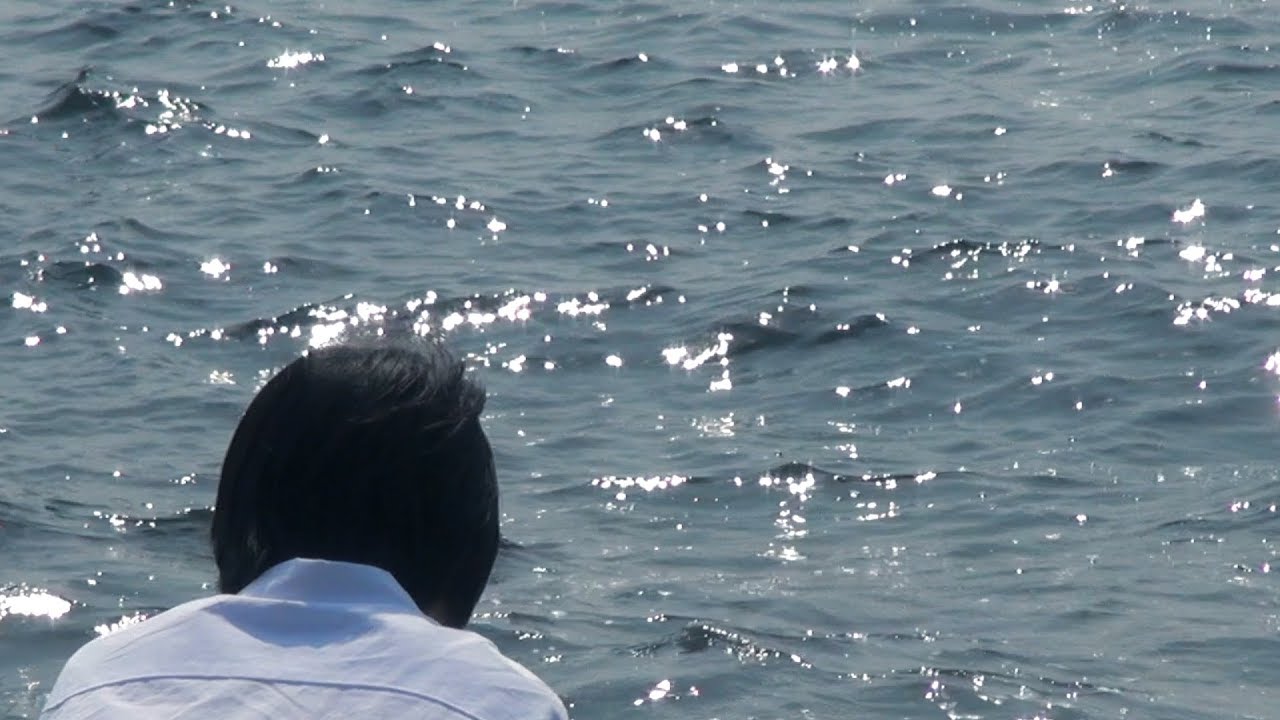 [신인류 MV] 파랗게 질려버렸어 (feat. 수잔) - 신인류 (SHIN IN RYU) - YouTube Music