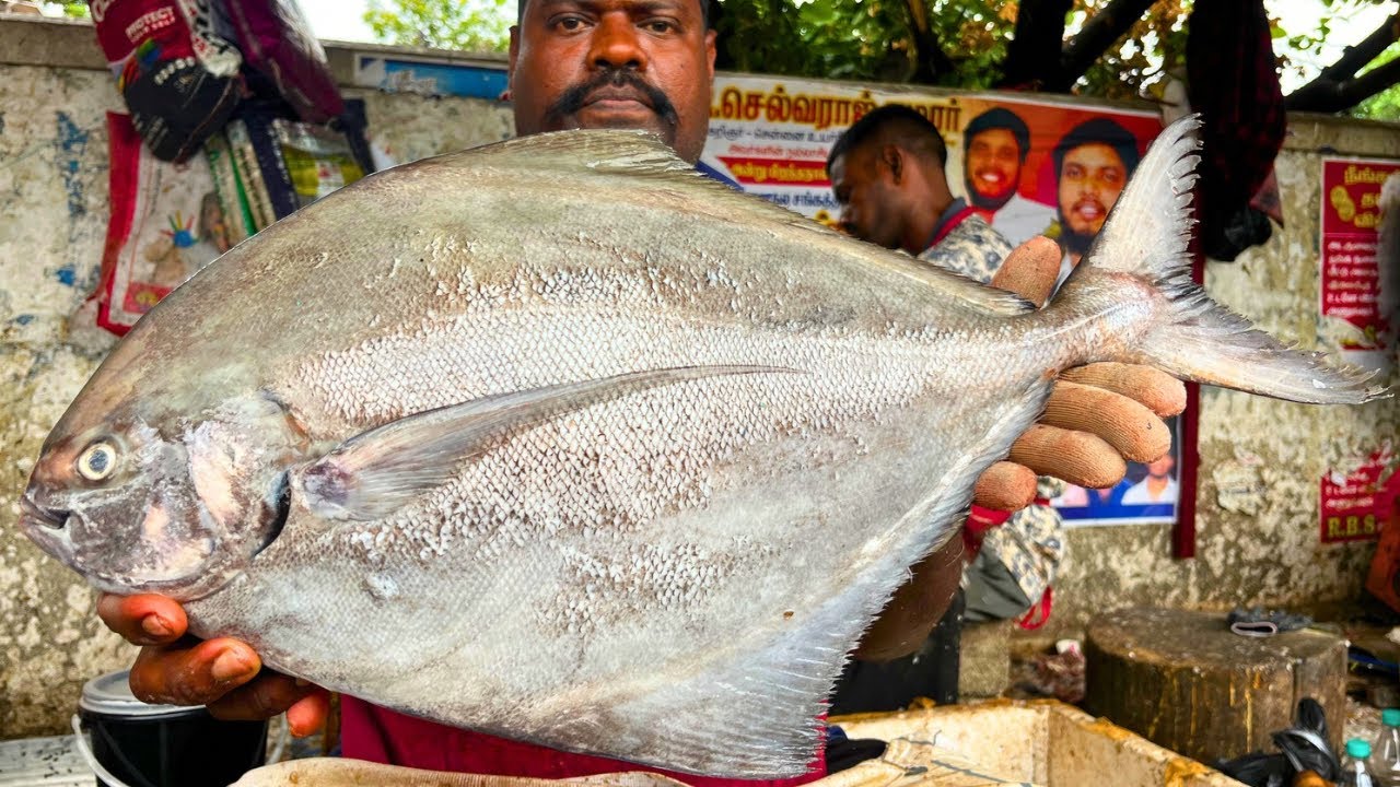KASIMEDU 🔥 SPEED SELVAM | BIG BLACK POMFRET FISH CUTTING VIDEO | FF ...