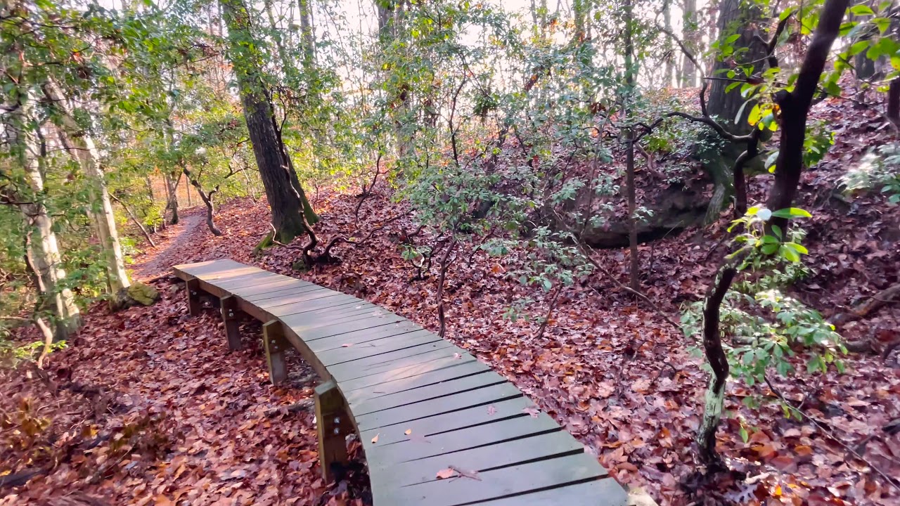 Flowery Branch Web Designers find a spot to unwind. -Trail Kaleidoscope ...