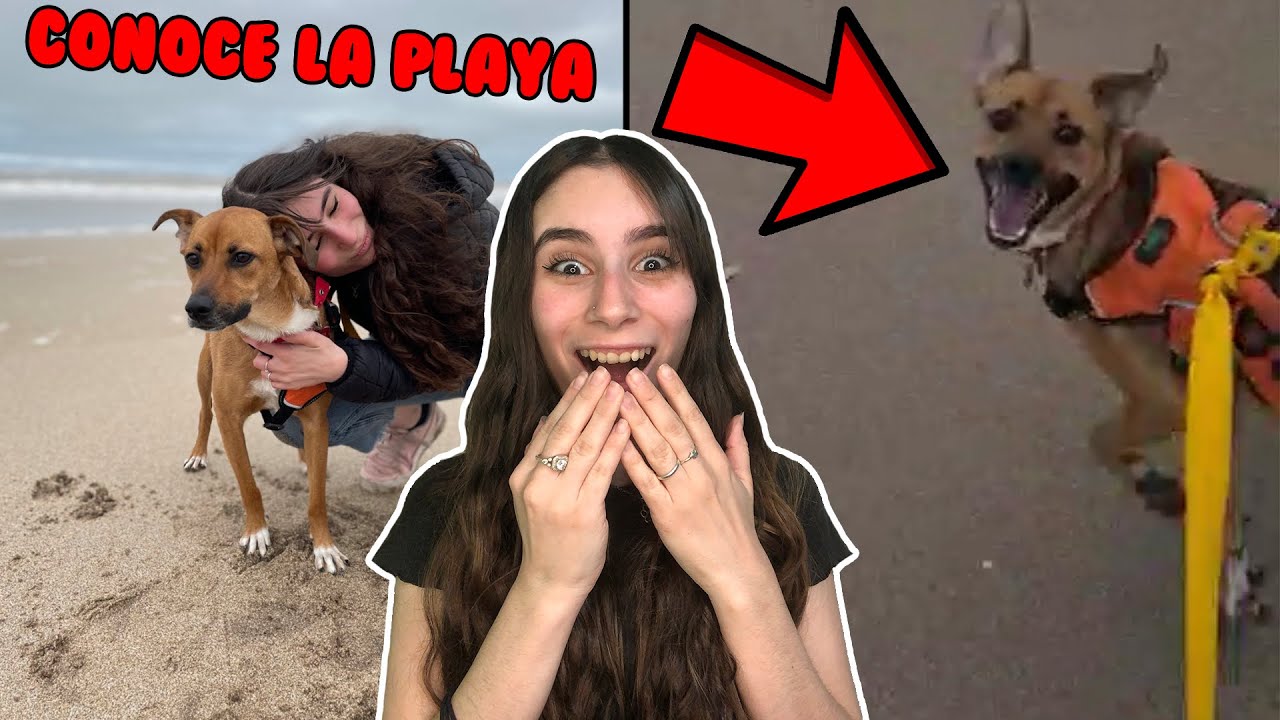 MI BEBÉ LISA CONOCE LA PLAYA POR PRIMERA VEZ - YouTube