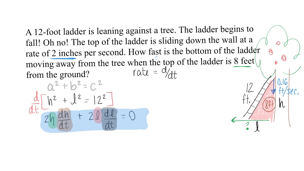 Calc 12 - Lesson 20 - Related Rates - Ladders - YouTube