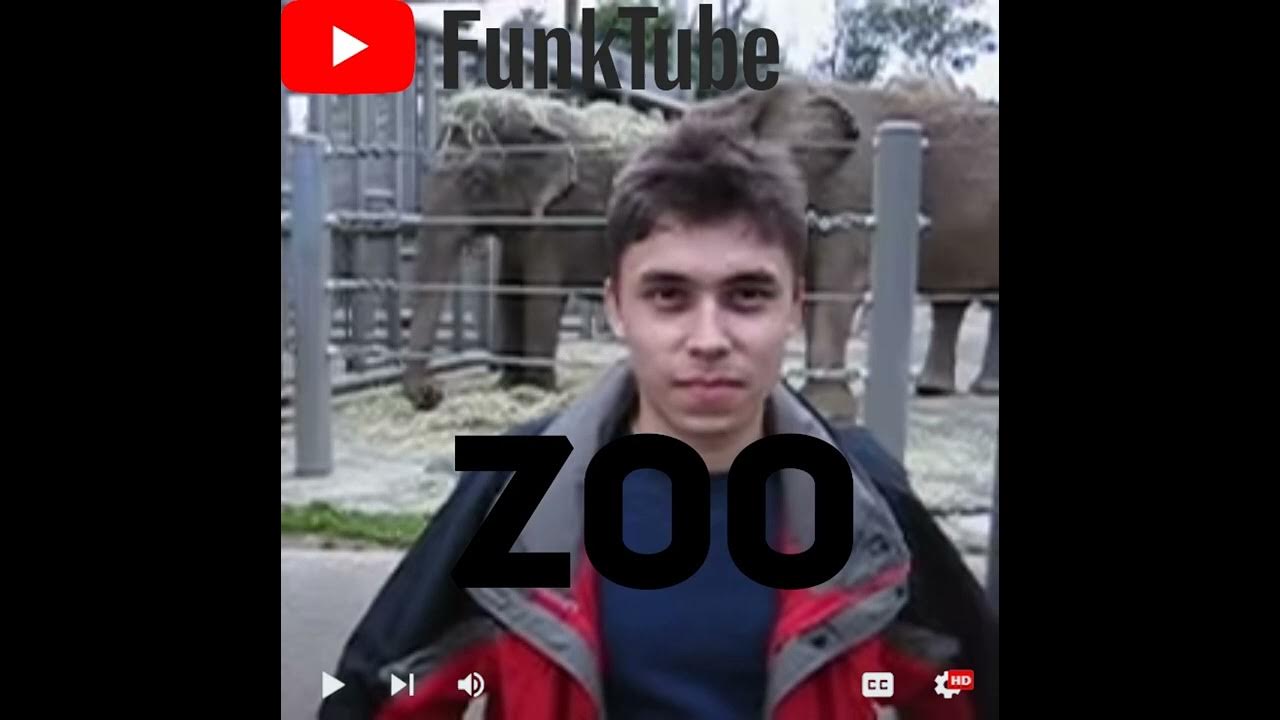 FunkTube OST - Zoo - YouTube