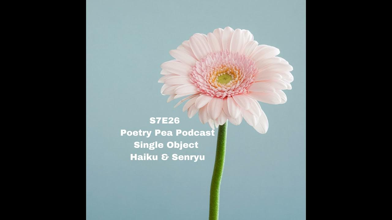 S7E26 Single Object Haiku & Senryu Poetry - YouTube