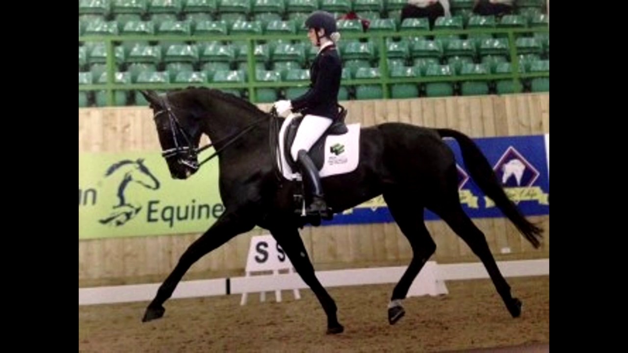 Sirenka - Video #2 - YouTube