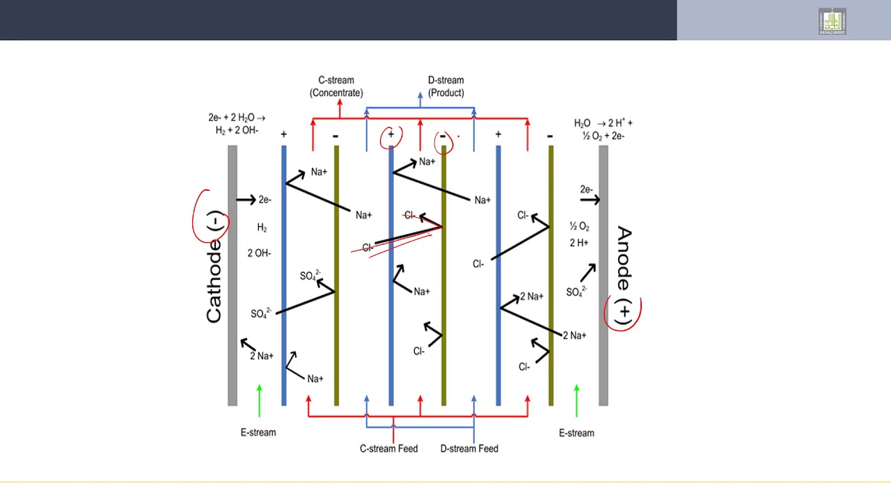 Separation Processes | 6-9 | Electrodialysis Membranes - YouTube