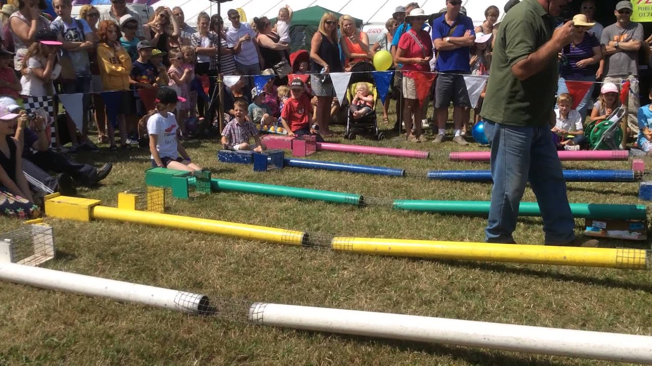 Ferret Racing at Dunster County Fair. - YouTube
