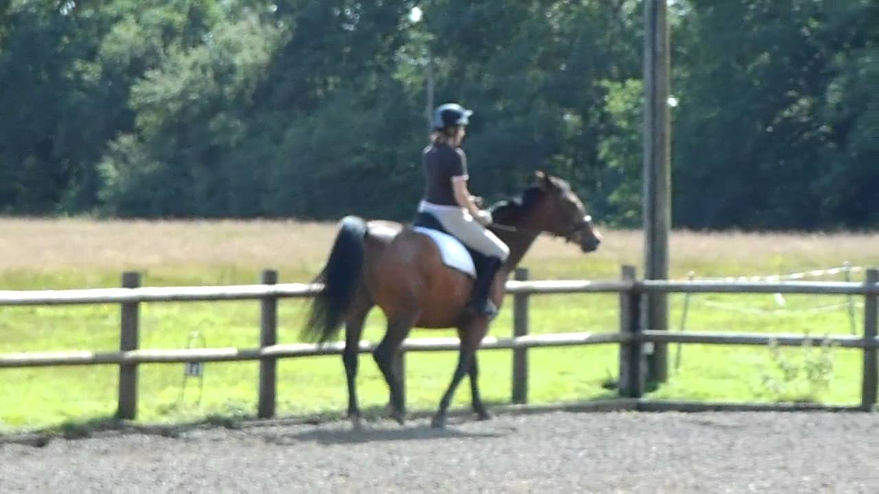 Sandra_Ruby_3 - YouTube