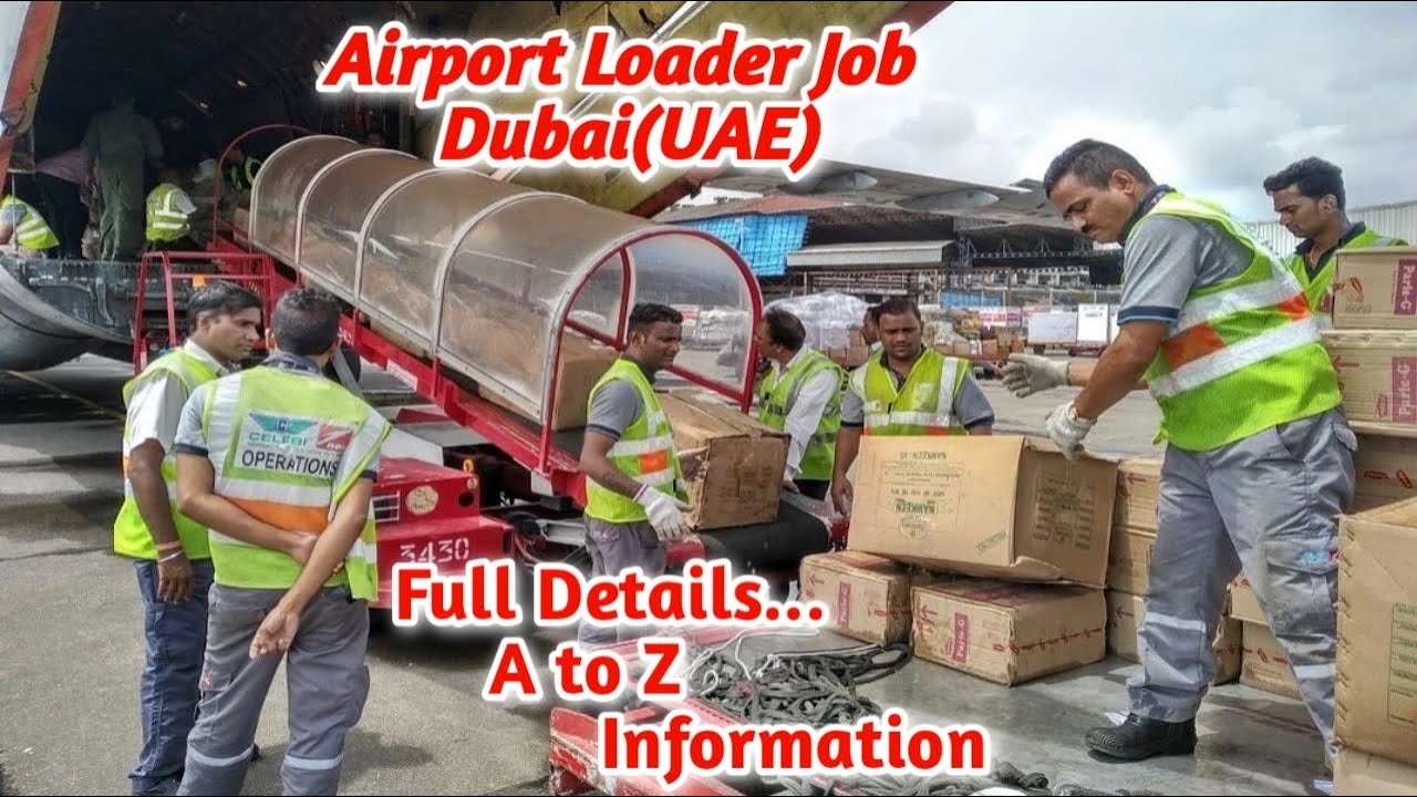 Airport Loader Job || Transguard,Dnata & Dulsco #job #jobsearch # ...