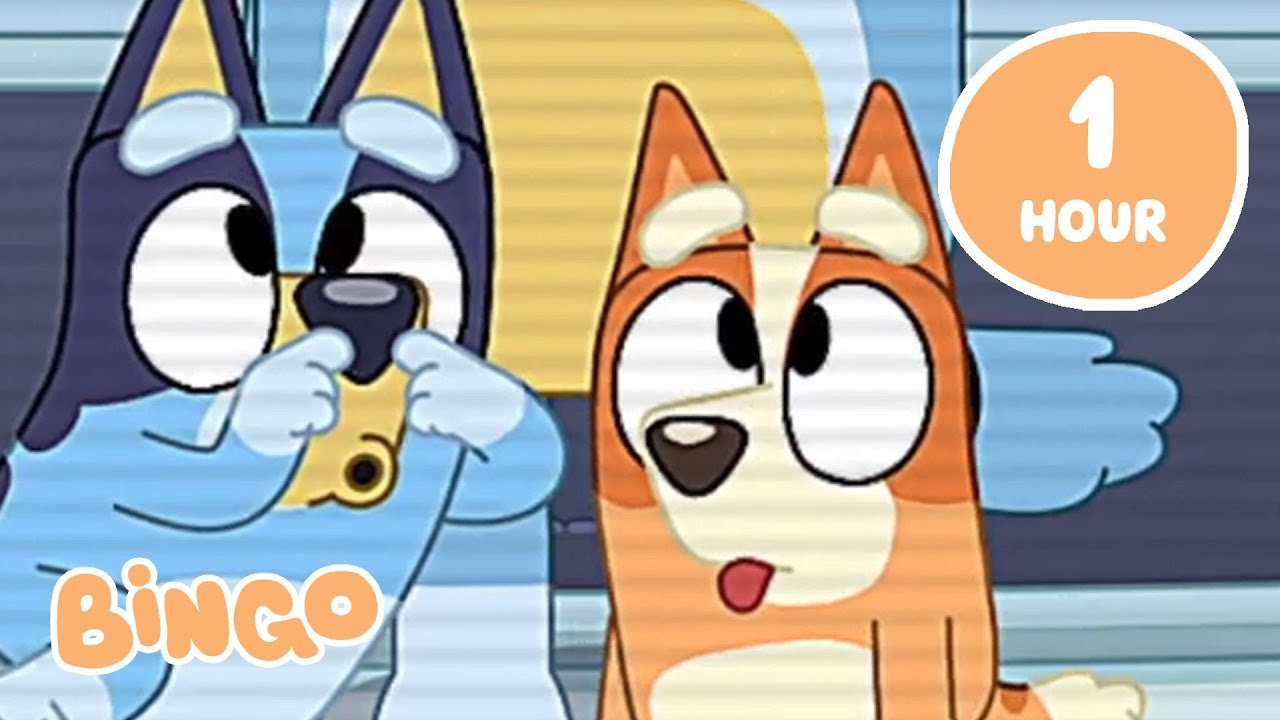 🔴LIVE: Cheeky Bingo Moments 🤭 🧡 | Funny Moments with Bluey and Bingo ...
