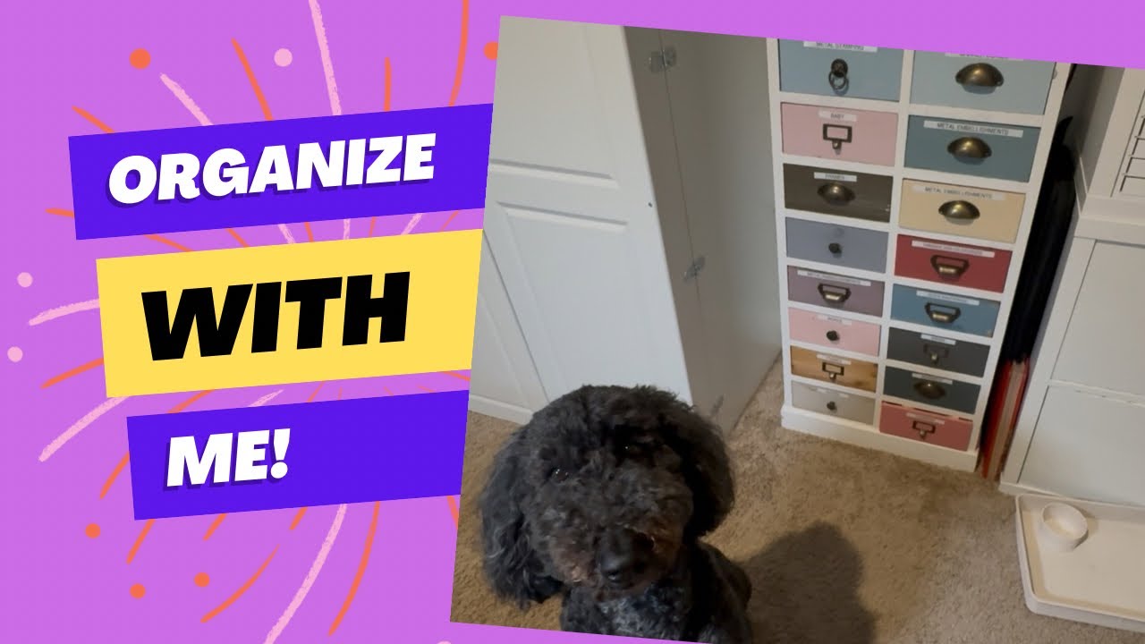 Organize With Me! - YouTube