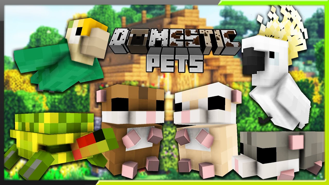 DOMESTIC PETS ATUALIZOU! - HAMSTERS, PEIXES E TARTARUGAS!!! - TUTORIAL MINECRAFT ADDON - YouTube