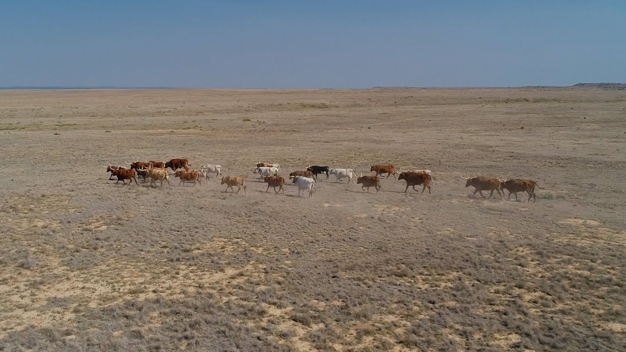 A Bird's Eye View of Heartland Ranch Preserve - YouTube