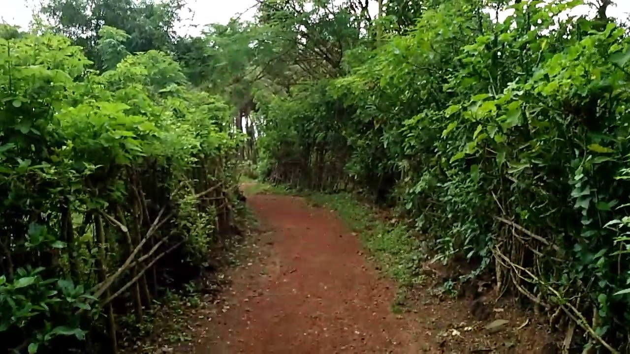Goa, sawantwadi, kudal, vengurla, malvan, Royalty Free Videos, Way In ...