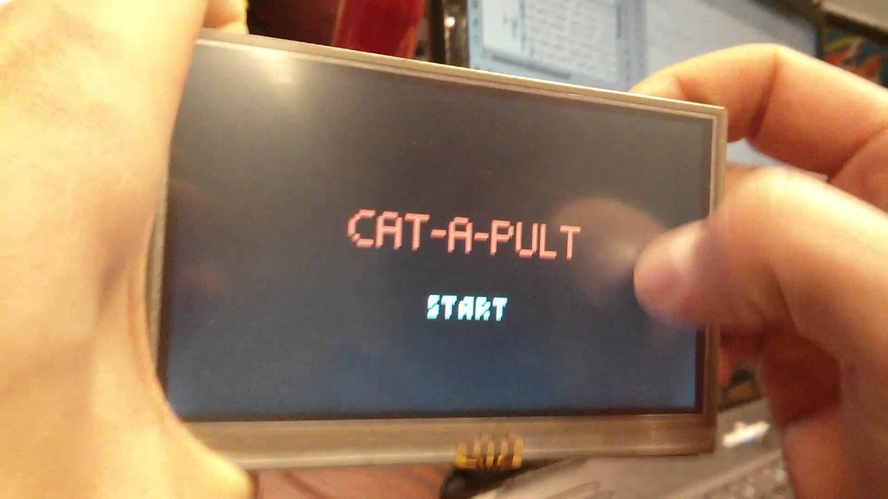 Cat a pult.mp4 - YouTube