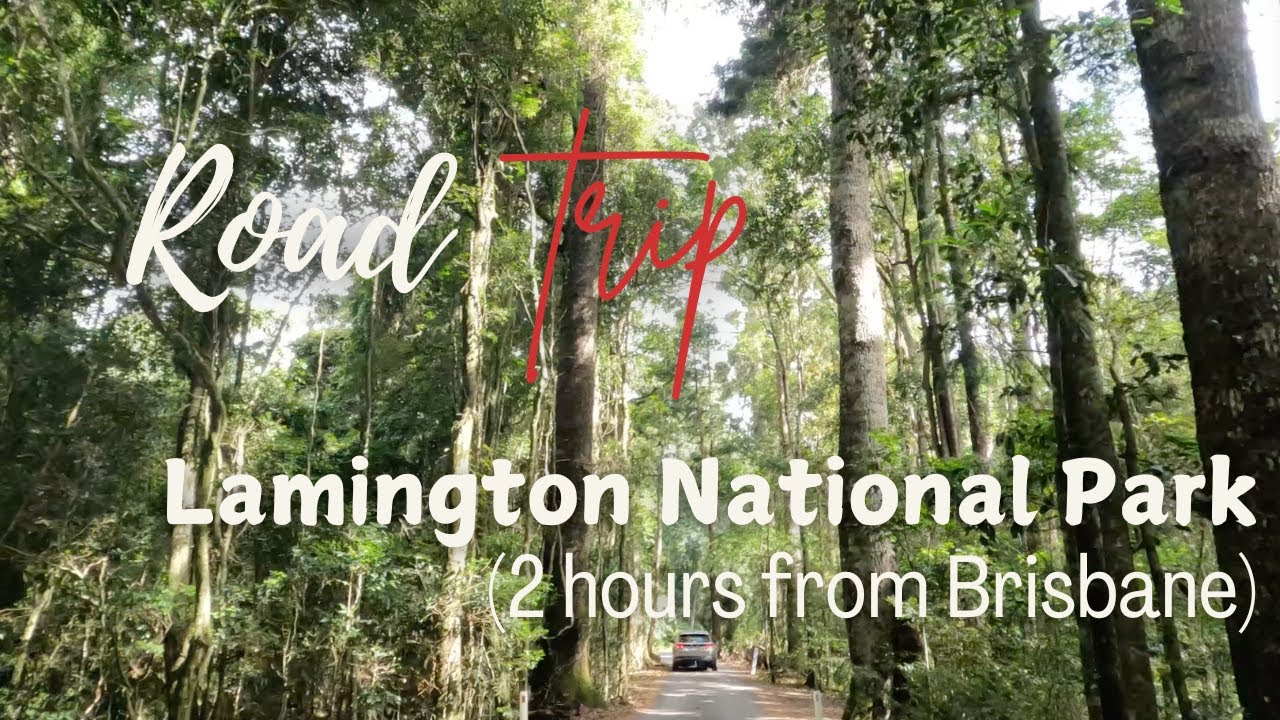 Driving into the rainforest - YouTube