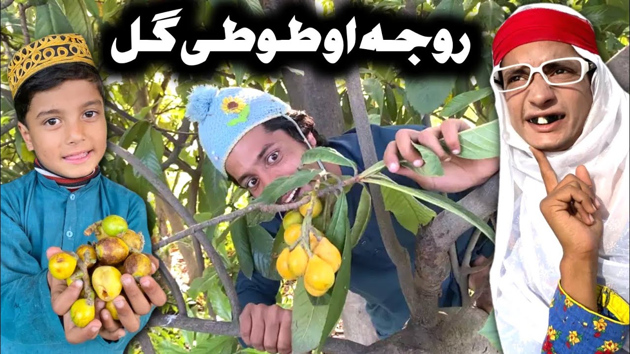 Roja Ao Tuti Gull || Pashto New Funny Video 2023 by Tuti Gul Official ...