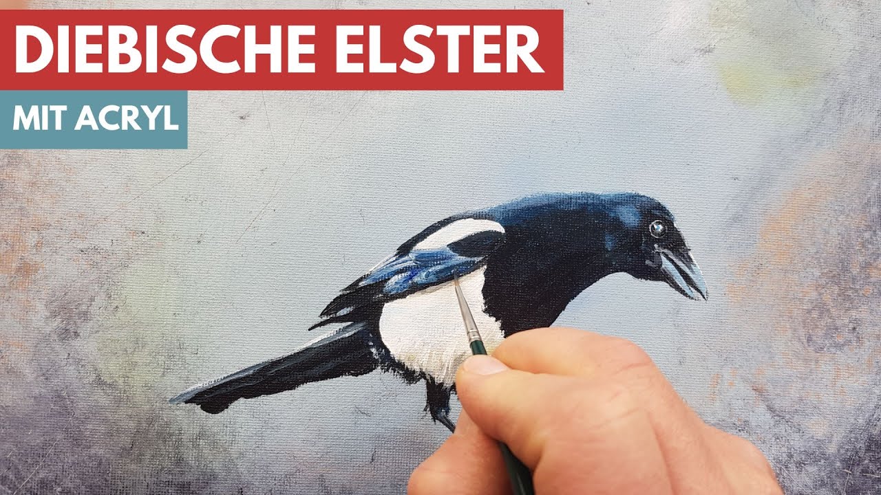 Elster malen mit Acrylfarbe - Schrittweise erklärt - YouTube