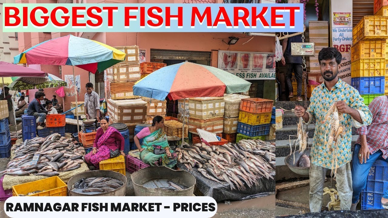 Ramnagar Fish Market | Wholesale Fish Market In Hyderabad / musheerabad ...