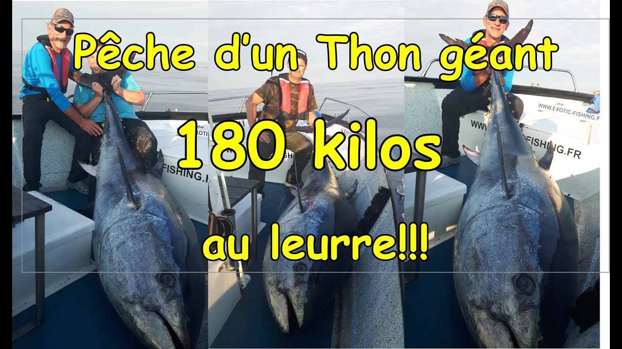 Pêche d'un THON GEANT au LEURRE en Méditerranée - YouTube