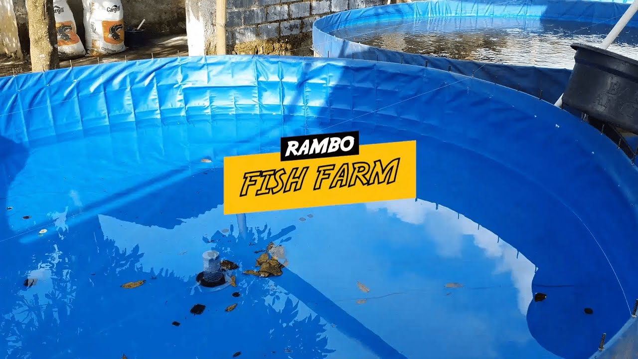 Video Profil Rambo Fish Farm - YouTube