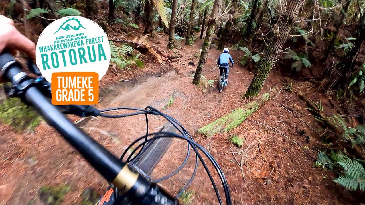 Is this THE BEST TRAIL in the forest?? - Tumeke, Rotorua - YouTube
