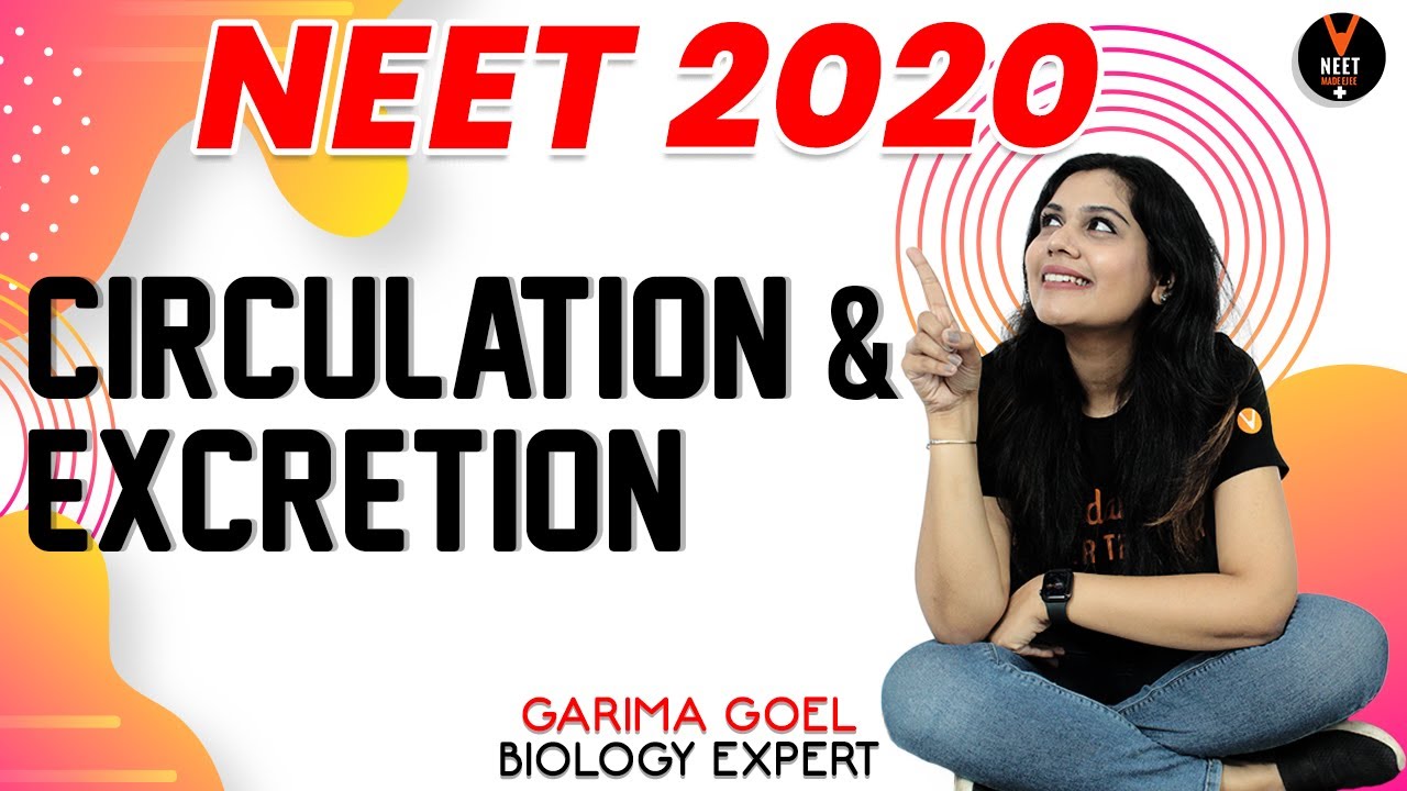 Circulation and Excretion Class 11 | NEET 2020 Preparation | NEET ...