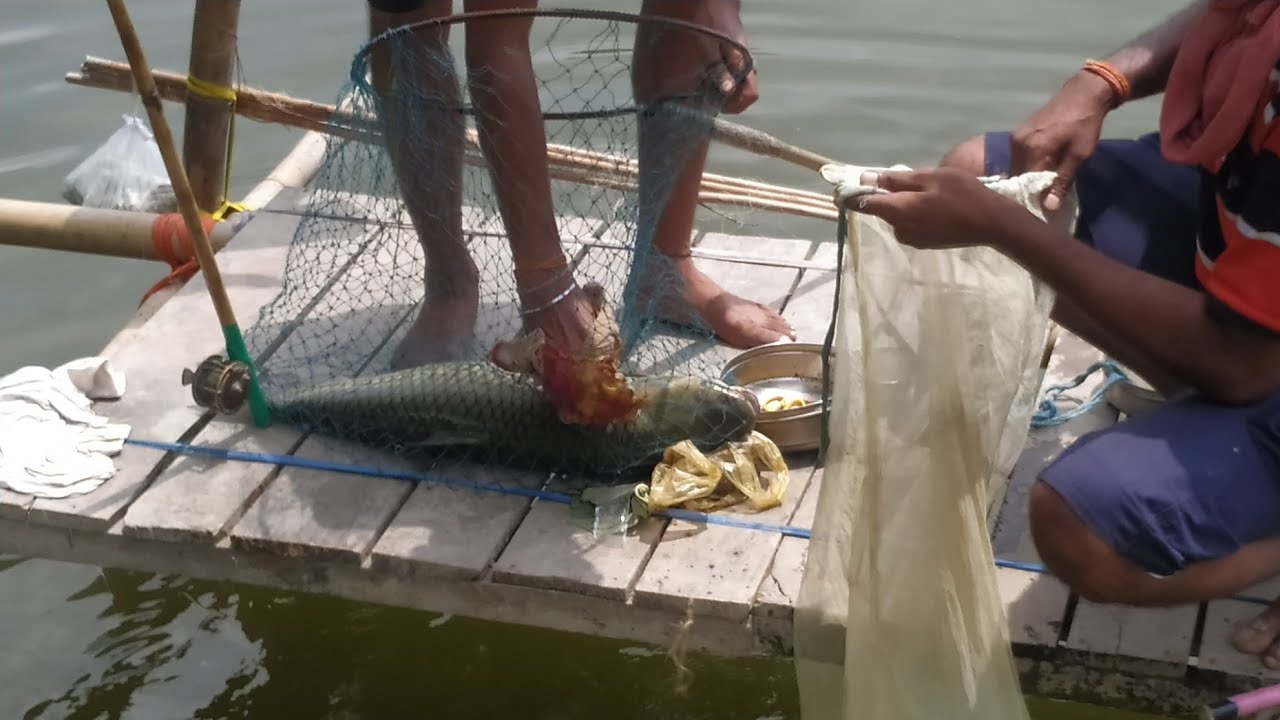 OMG Catch Big Glass Cup Fish 🐠🐋🐟 - YouTube