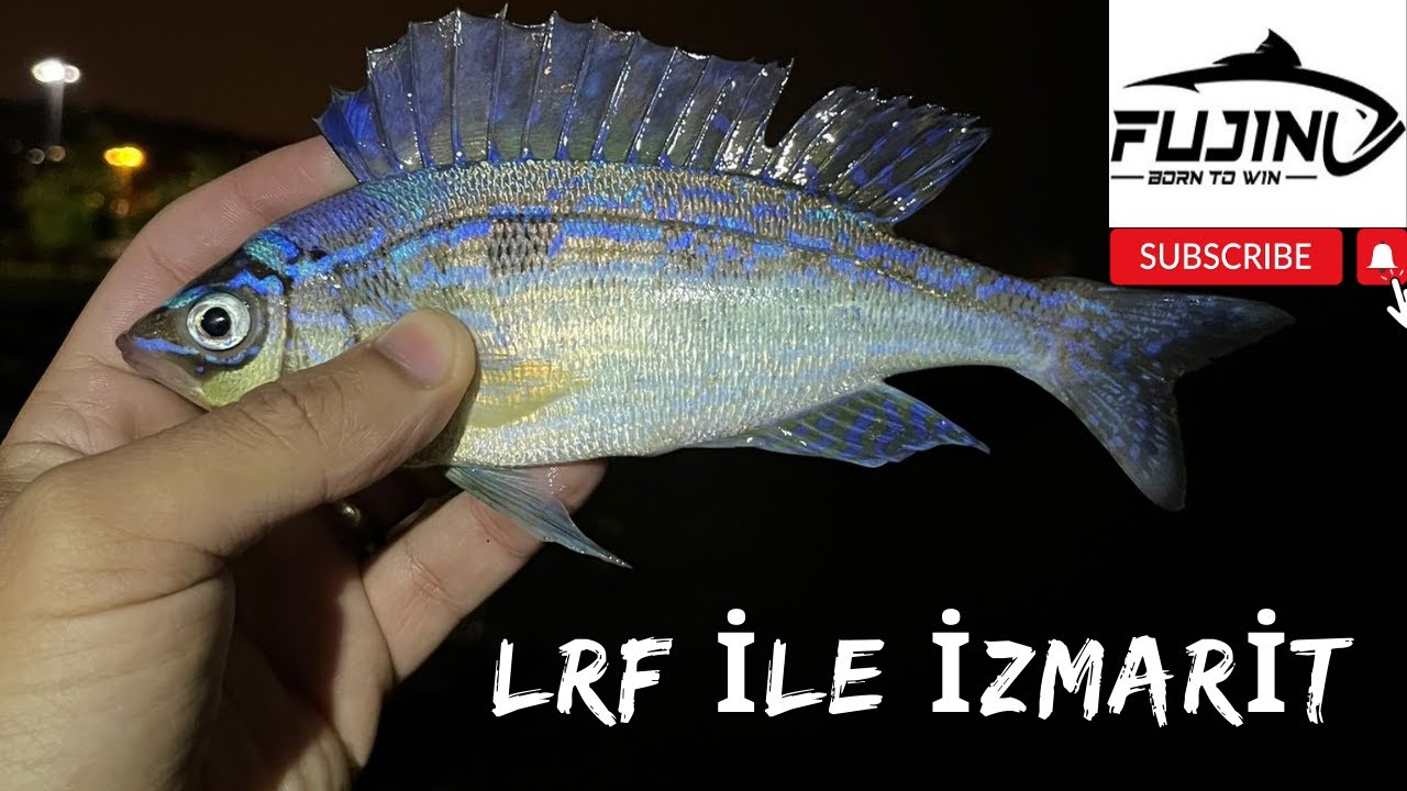LRF İLE İZMARİT , İSPARİ ve İSTAVRİTİ KÖTÜ HAVADA' DA BULDUK ...