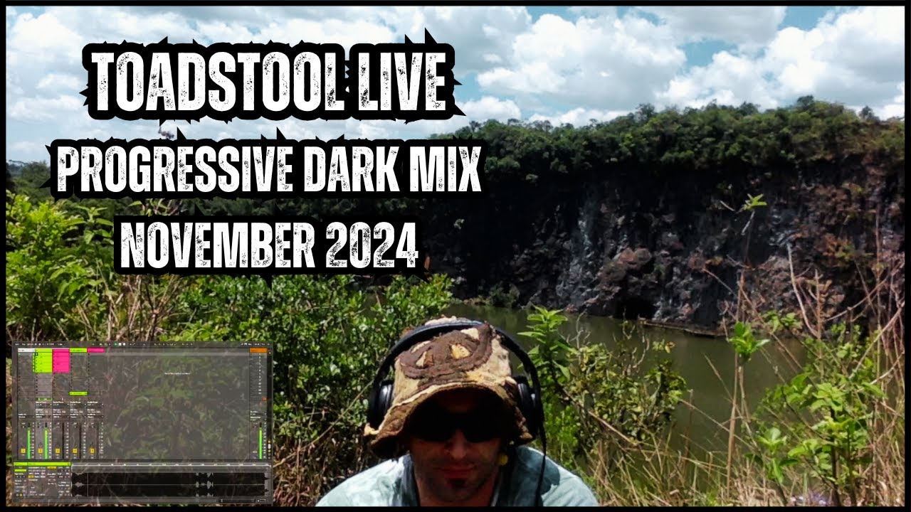 Progressive Dark | Toadstool Live Mix | November 2024 #progressive # ...